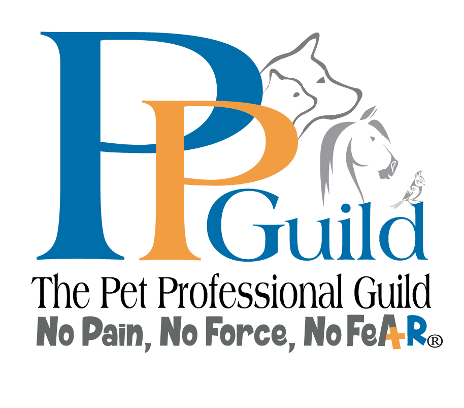 Dog Training Essex - Mersea Mutts Ltd