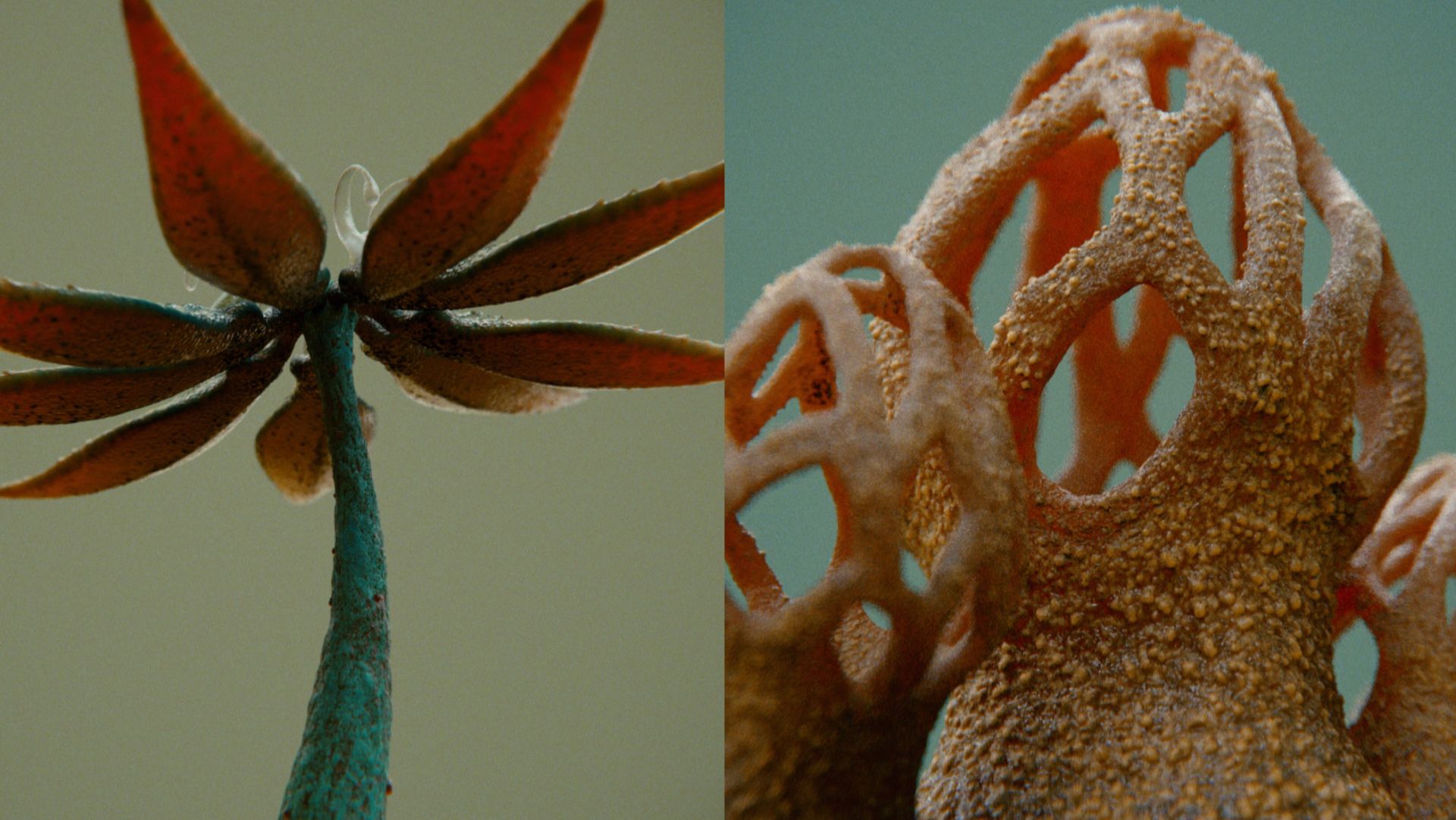 Q&A com Marcel van Brakel - Polymorf