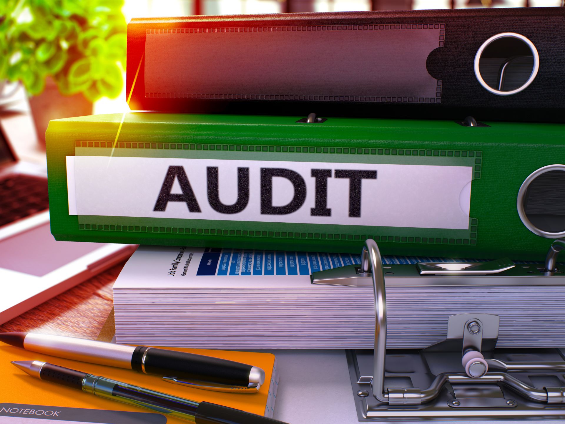 New auditing standard: Less complex entities