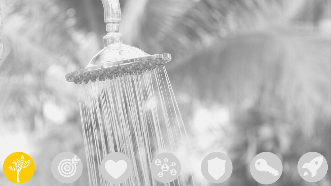 Shower Refresh