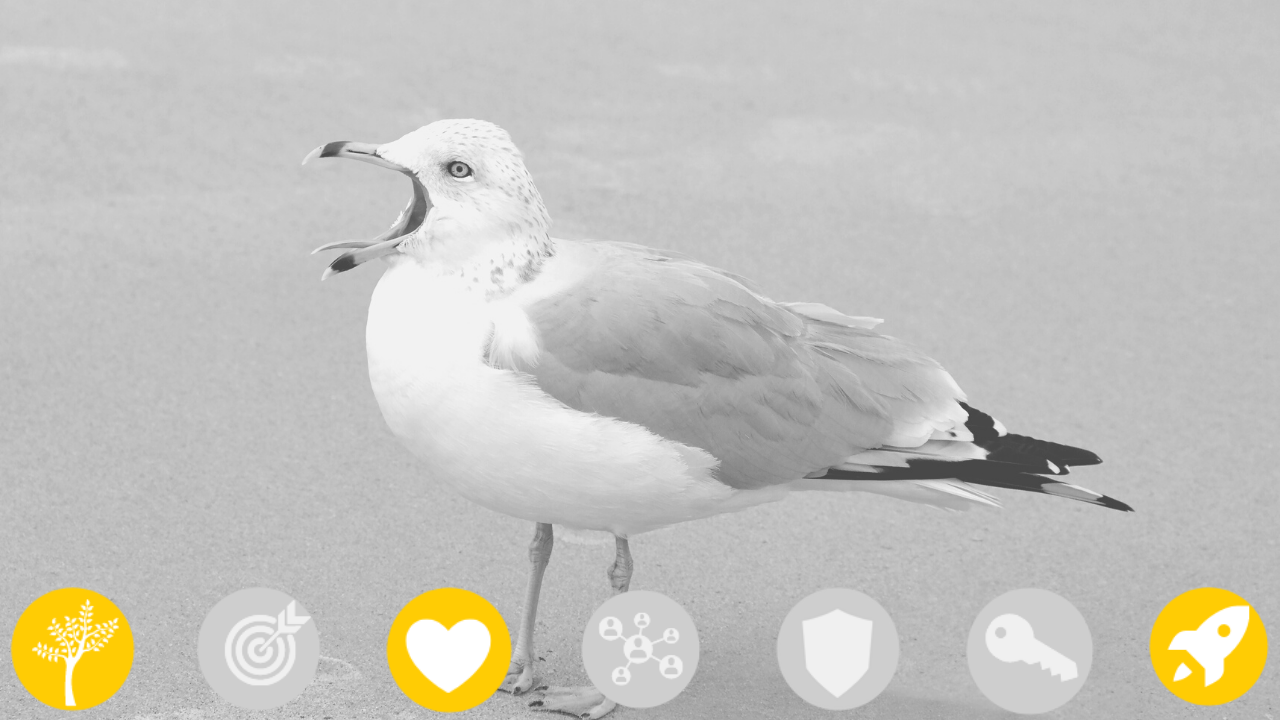 Commit to a Complaint-Free Day