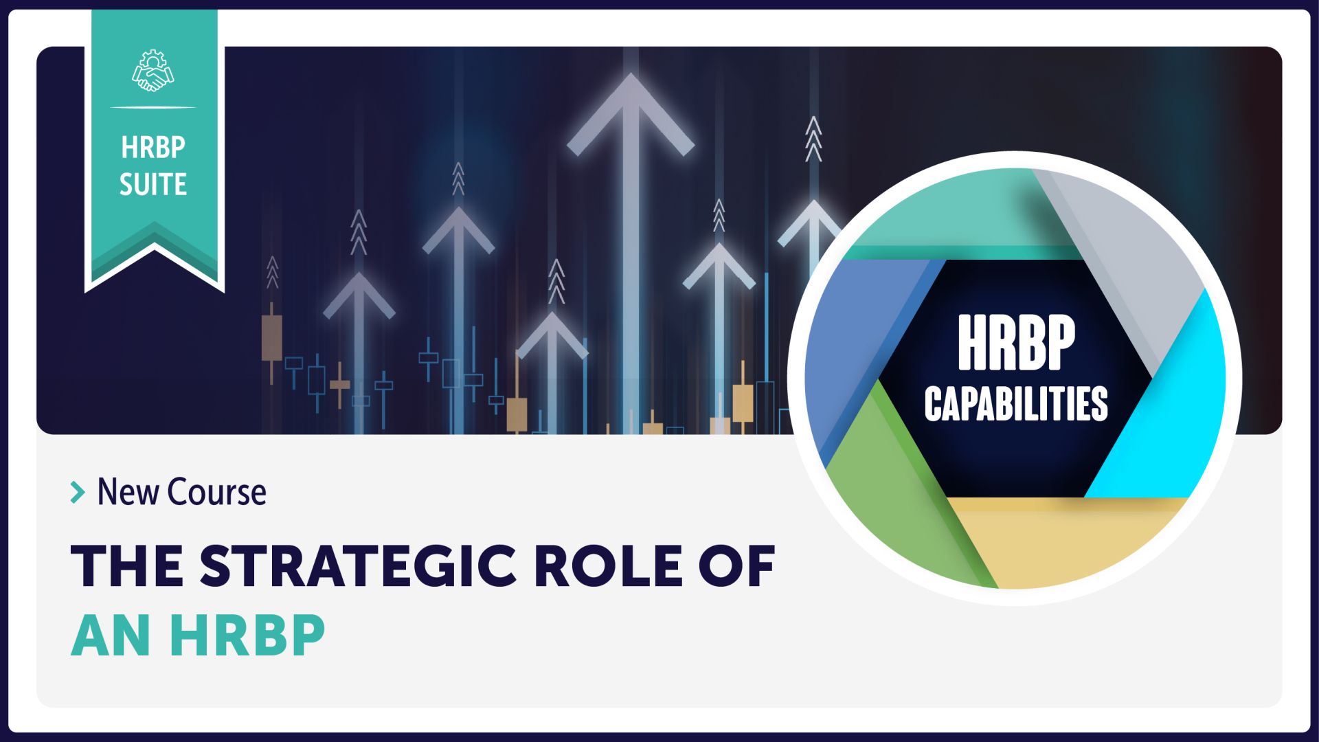 The Strategic Role of an HRBP