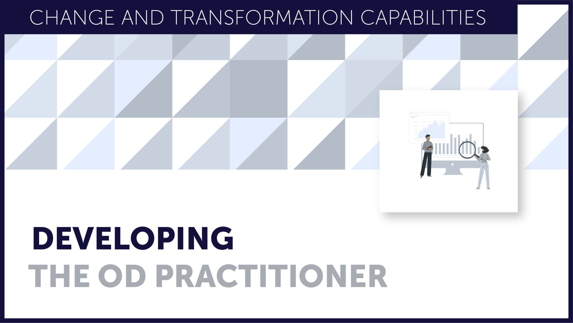 Developing the OD Practitioner