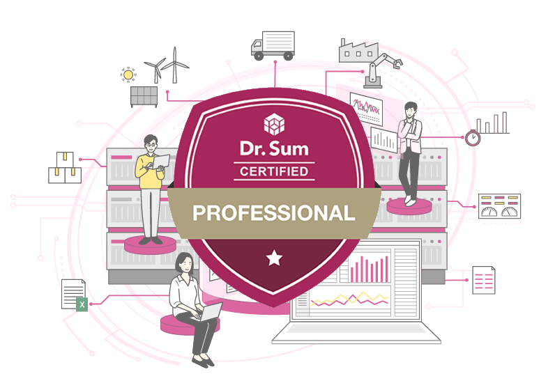 Dr.Sum Professional