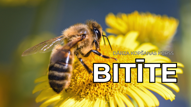 Dārza kopšanas kurss "Bitīte"