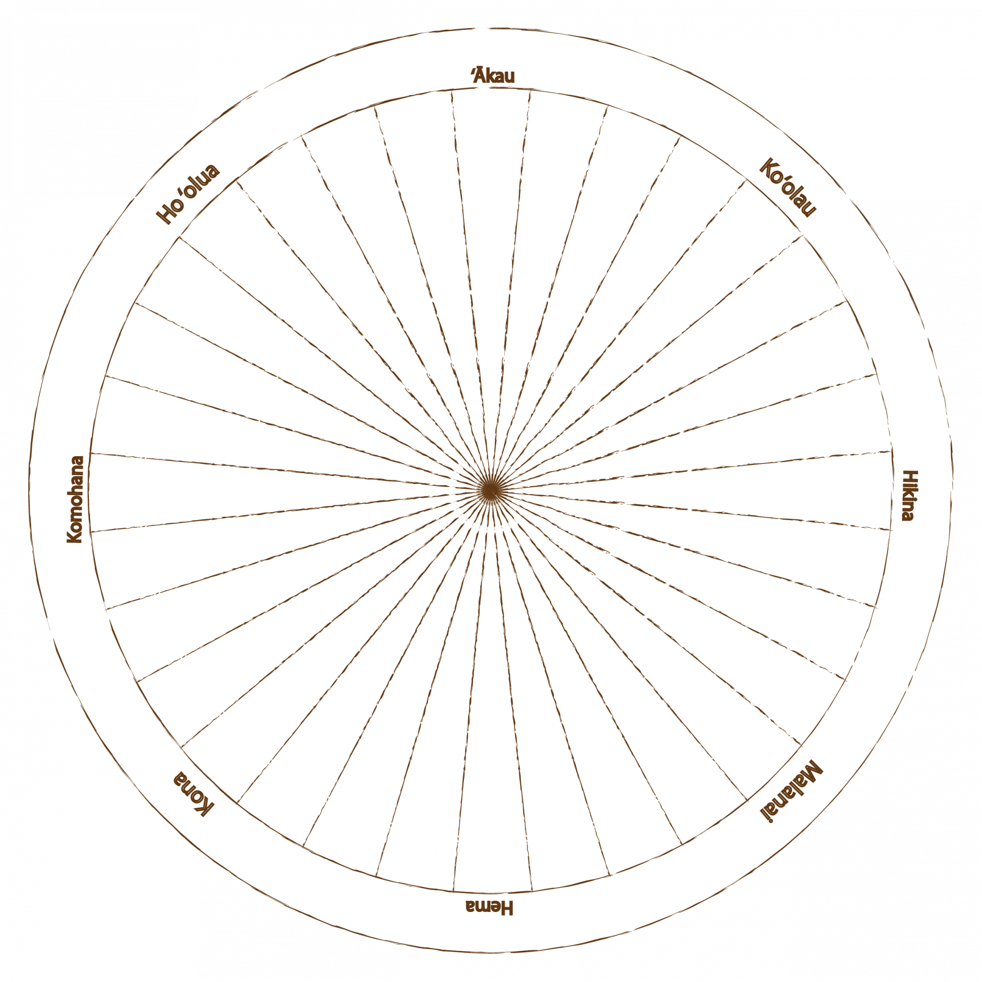 The Hawaiian Star Compass