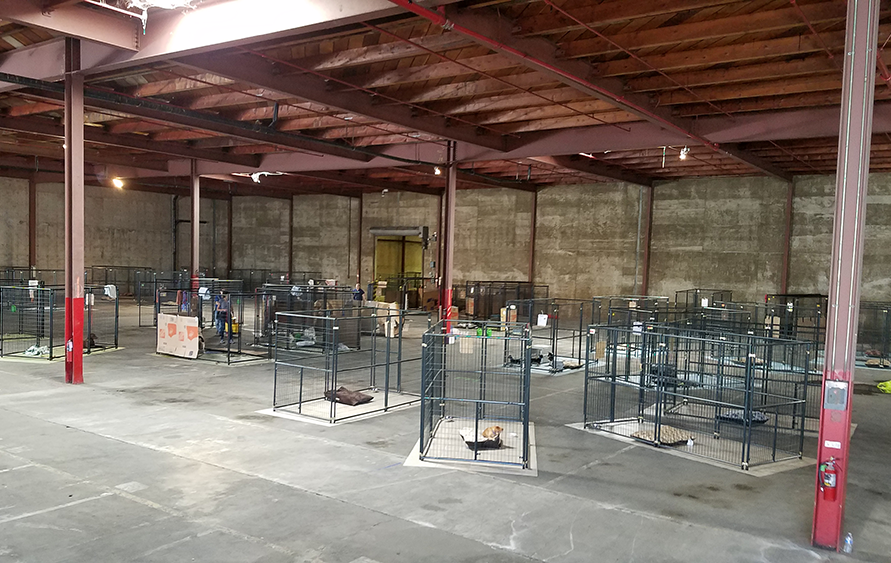 East Bay SPCA Disaster Response Overview