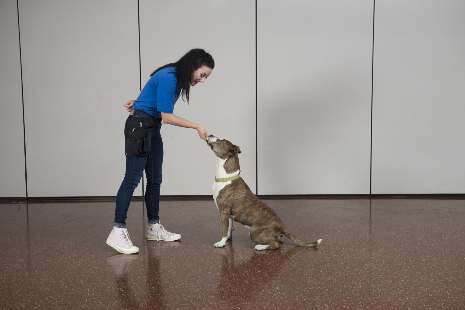 Clicker Training 101