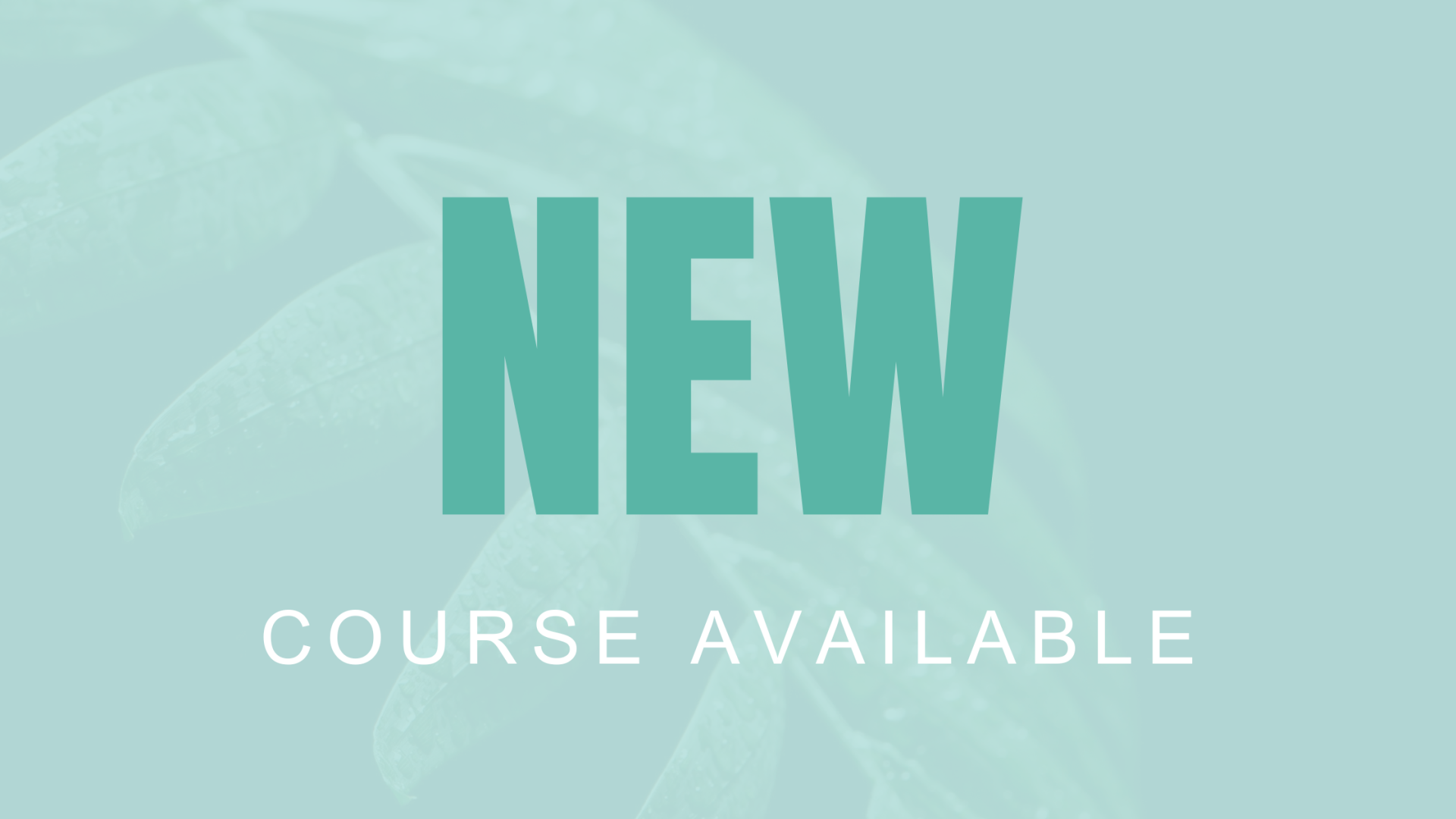 Transform Your Skincare Approach: Unleash the Power of the Skin Microbiome! Transform Your Skincare Approach: Unleash the Power of the Skin Microbiome!