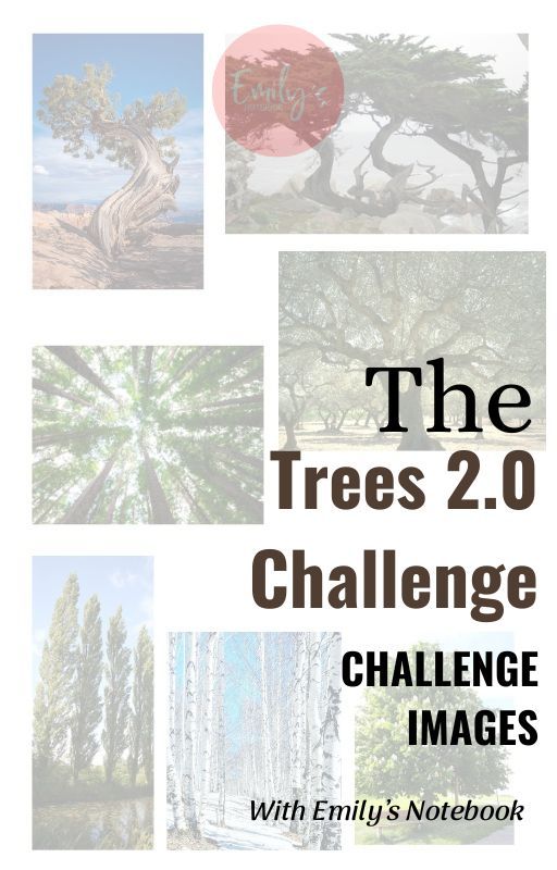 The Trees Challenge 2.0 January 2026