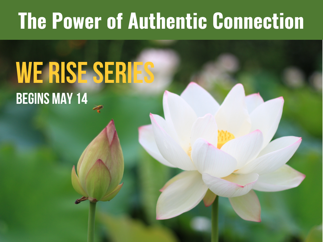 The Power of Authentic Connection