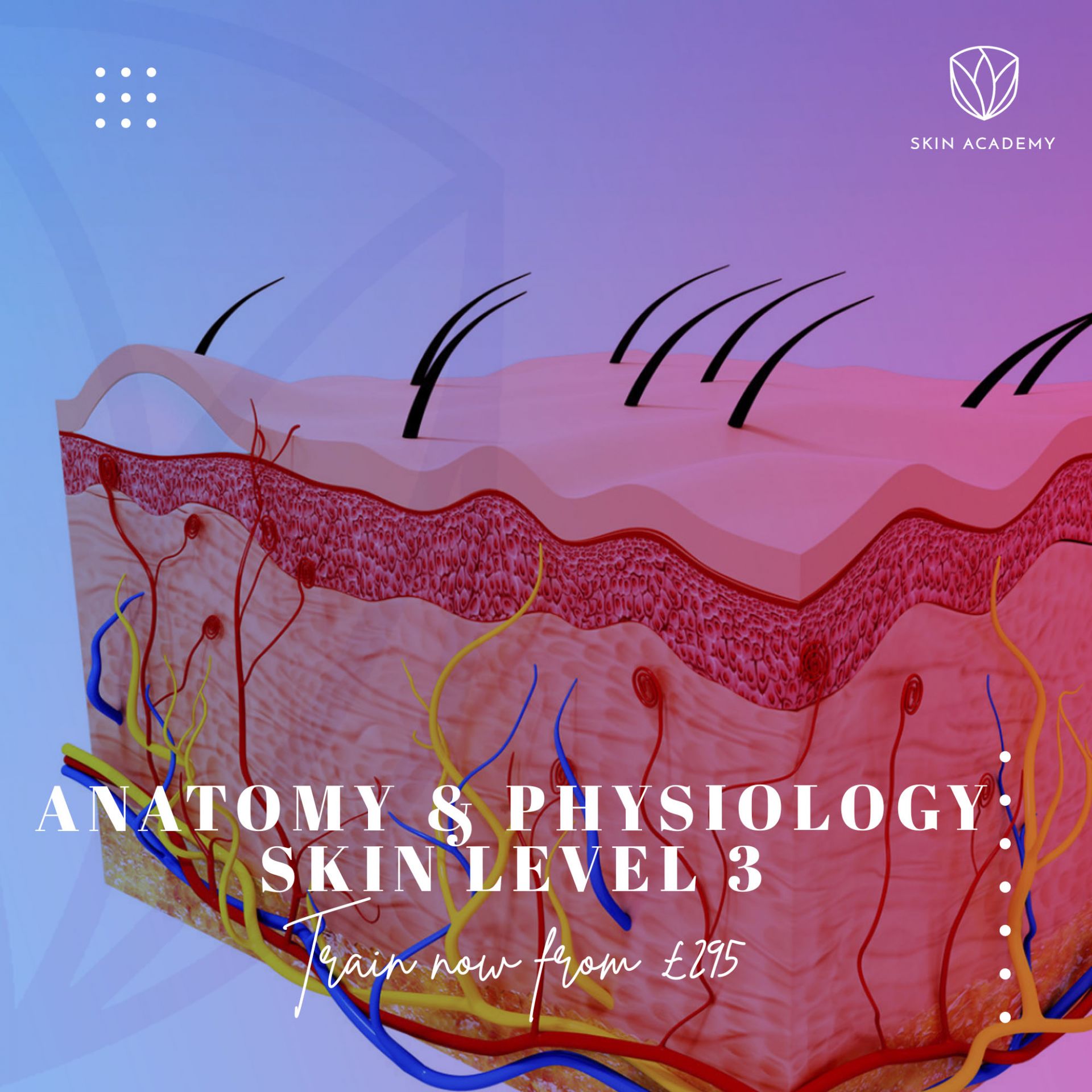 Anatomy and Physiology: Skin