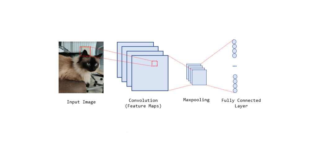Convolutional Neutral Networks
