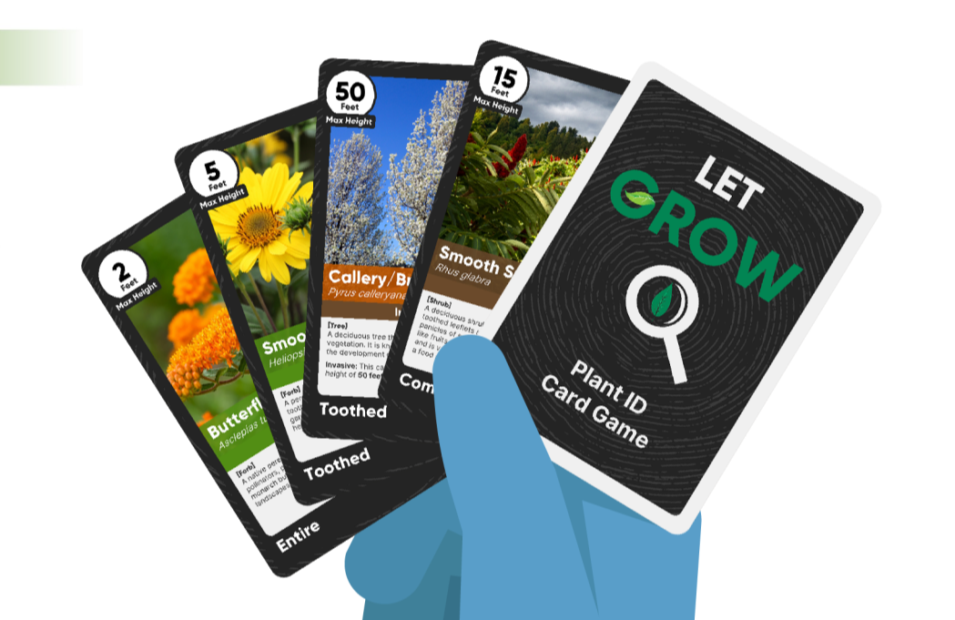 Play the Let Grow Plant ID Card Game!