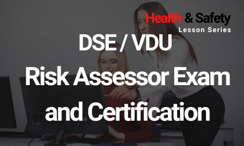 DSE Risk Assessor Exam and Certification