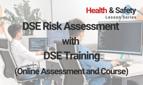 DSE Risk Assessment with DSE Training