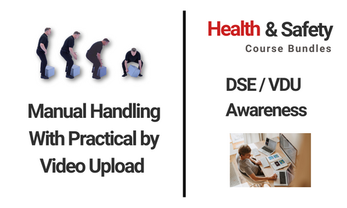 DSE and Manual Handling