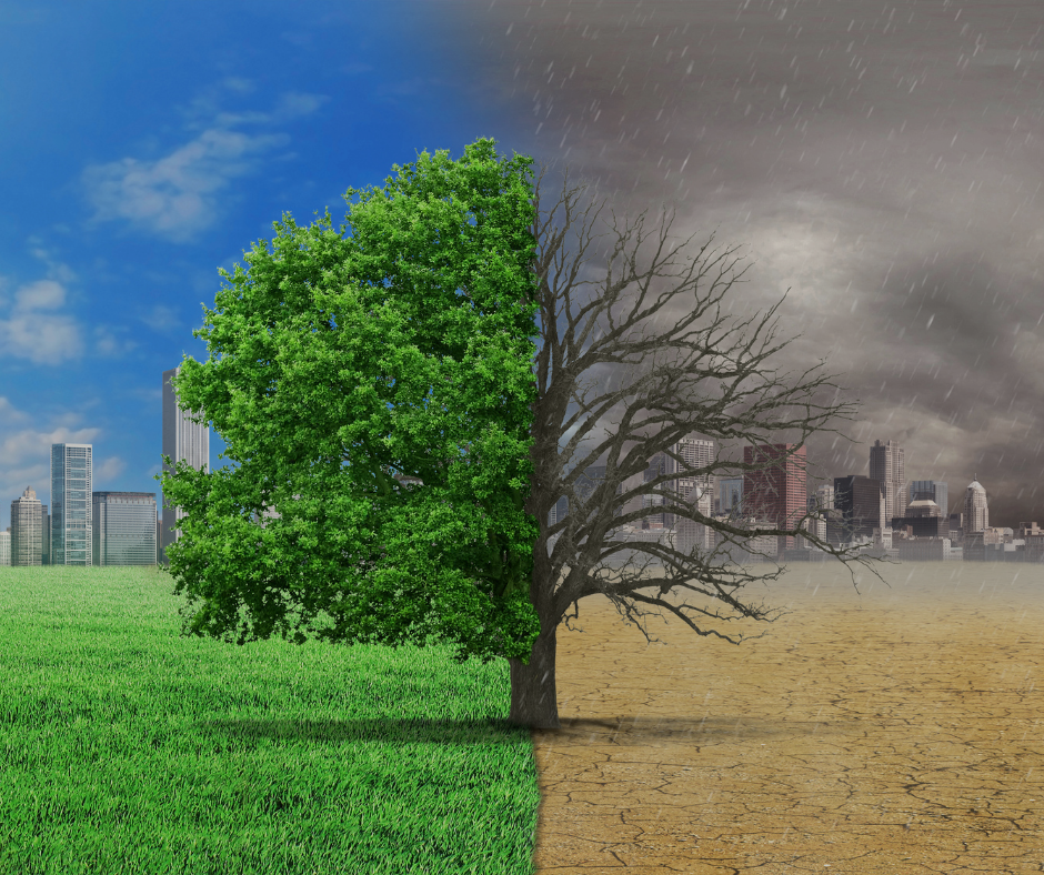 No mês do Ambiente ... Falamos de Ambiente e Saúde!