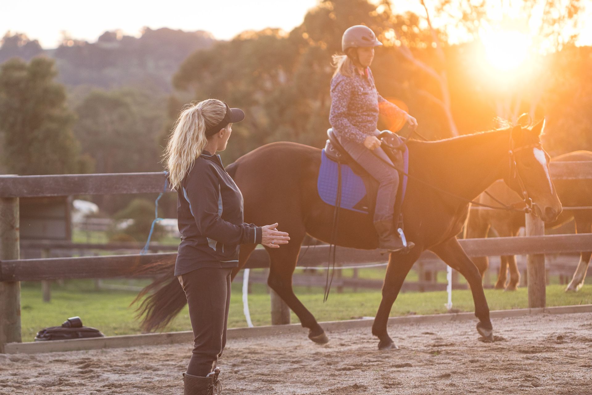 Horsemanship Education: Lessons, Workshops & Pricing