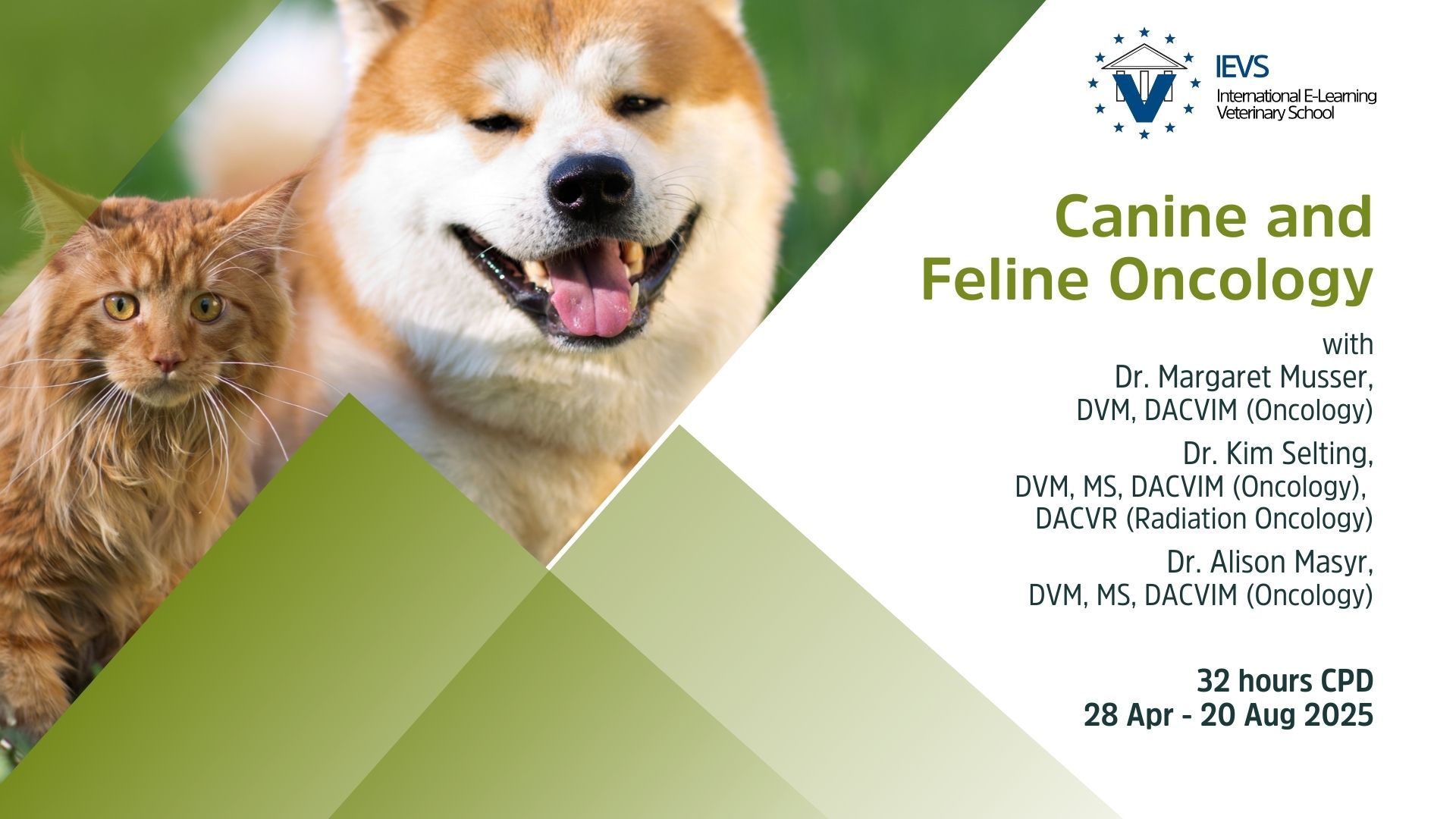 Canine and Feline Oncology Webinar Series Announcement