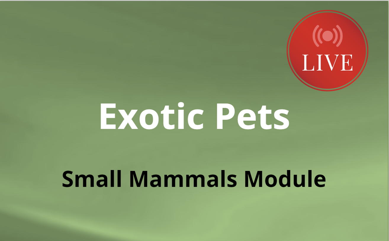 Exotic Pets Small Mammals Module - Fundamental