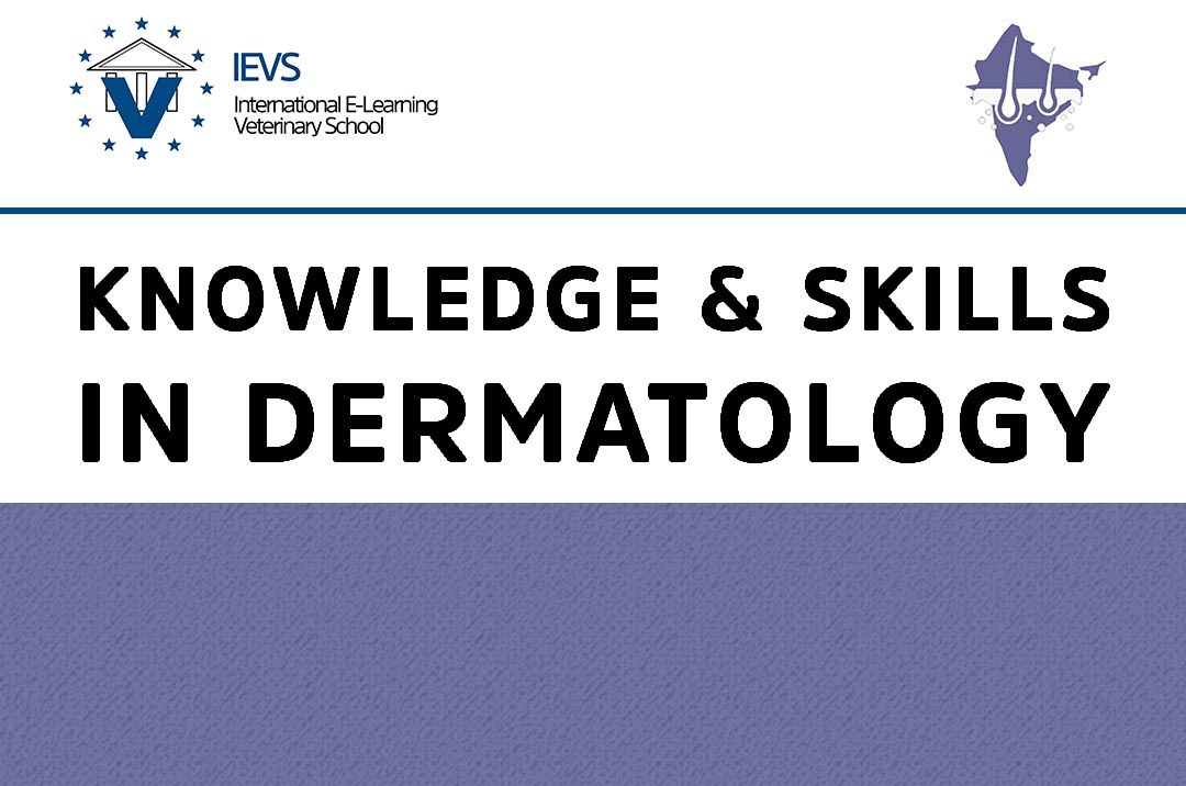 Acquisition of Knowledge and Skills in Dermatology