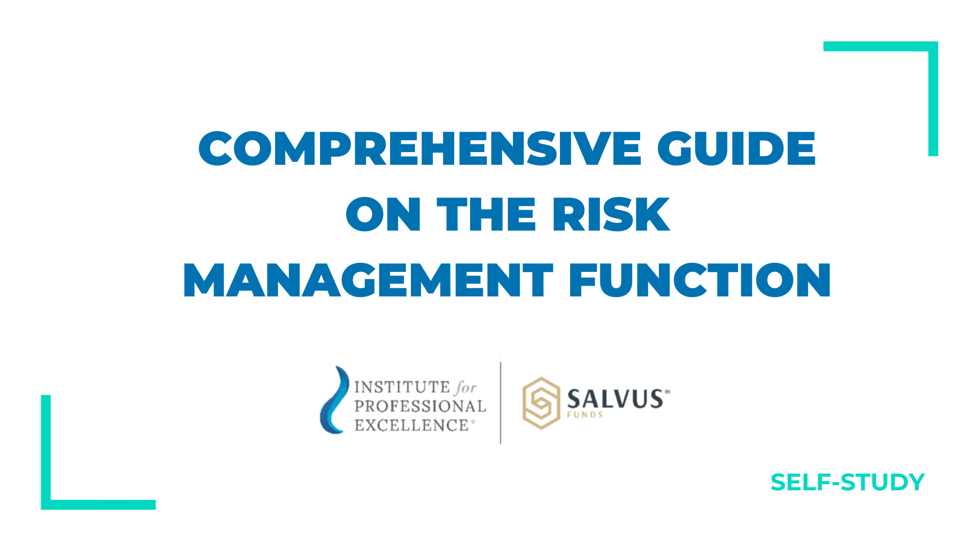Comprehensive Guide on the Risk Management Function in 2025