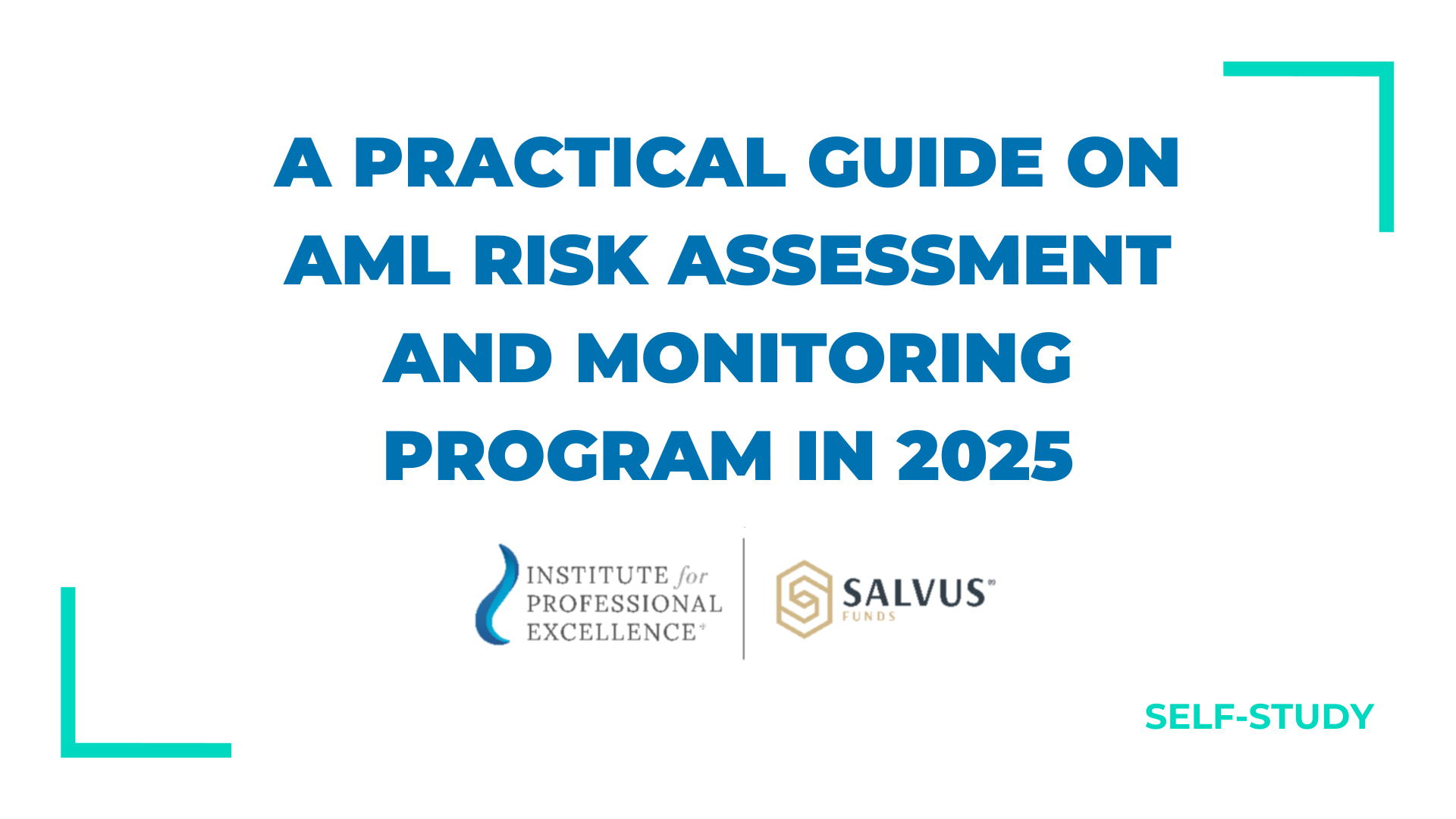AML Monitoring Program & Assessment