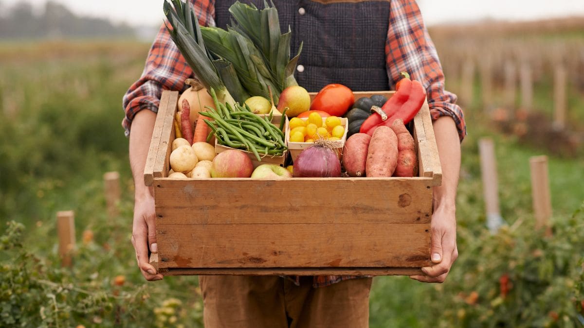 Farm to table เทรนด์อาหารเพื่อสุขภาพที่ยั่งยืน | IkonClass