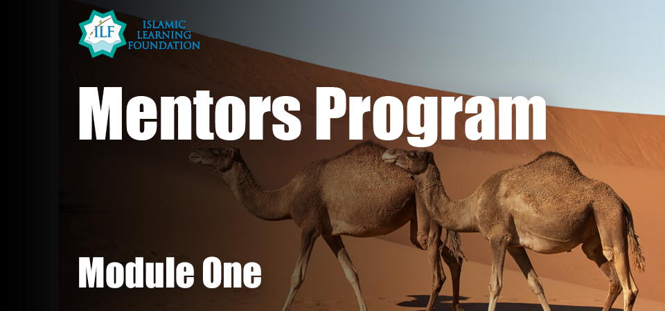 Mentors Program Module One