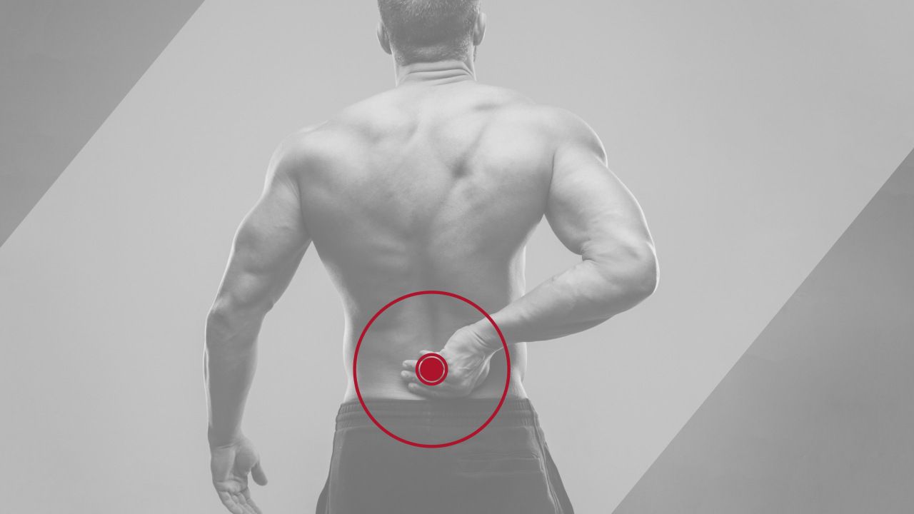 Lombalgie et infiltration graisseuse des muscles paravertébraux : ce ...