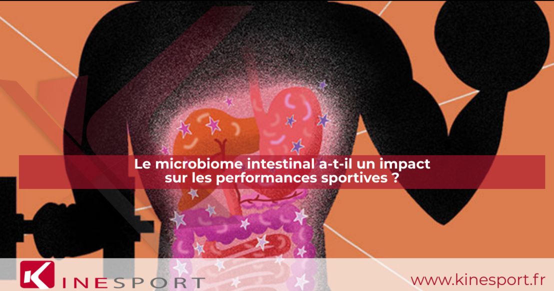 Le microbiome intestinal a-t-il un impact sur les performances ...