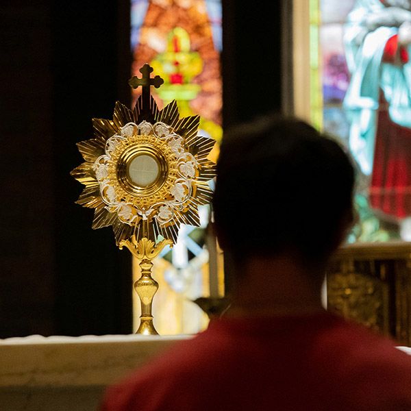 Walk With One: Identify