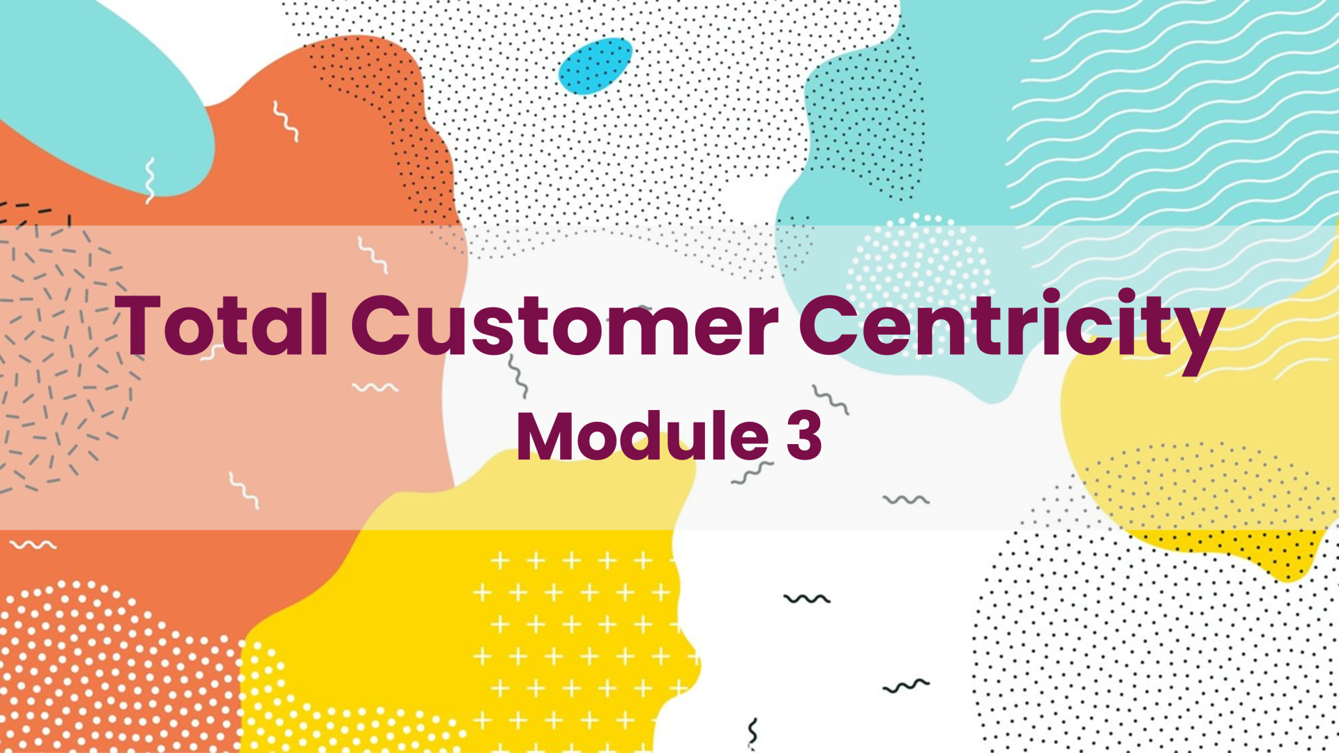 Total Customer Centricity Module 3