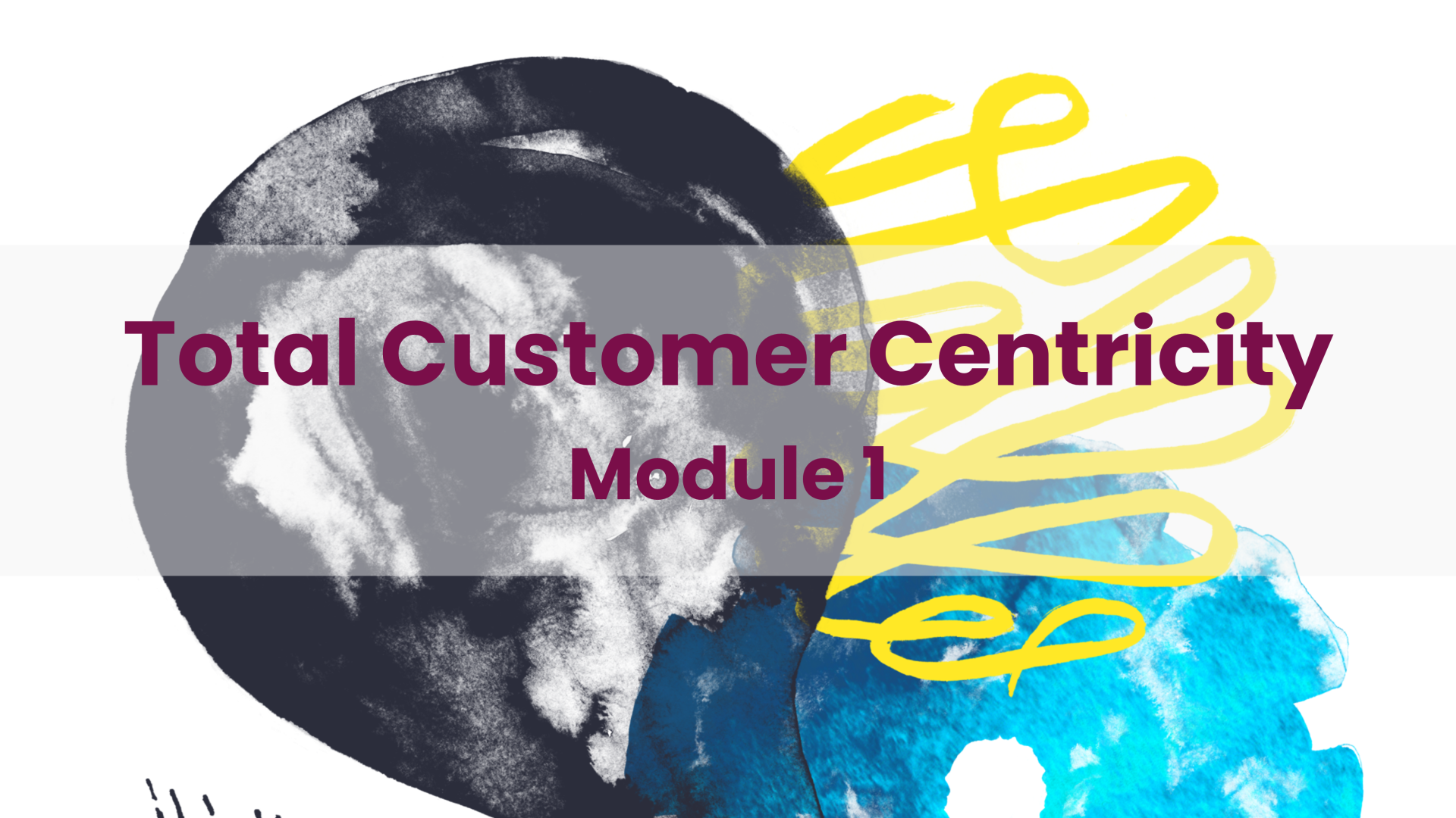 Total Customer Centricity Module 1