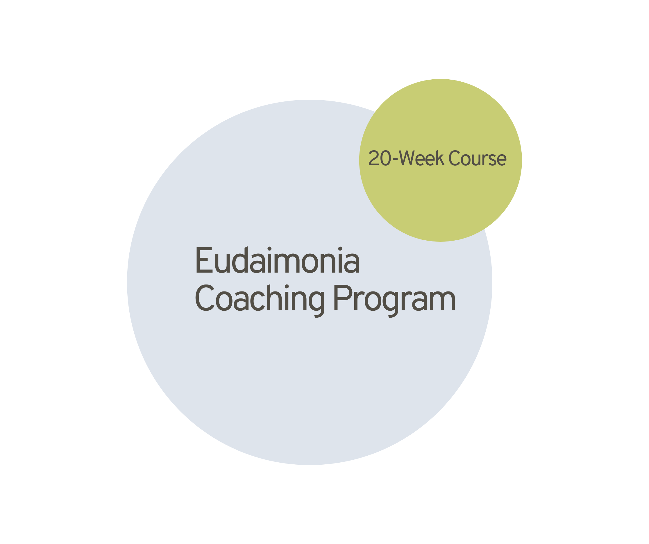 Coaching Foundations