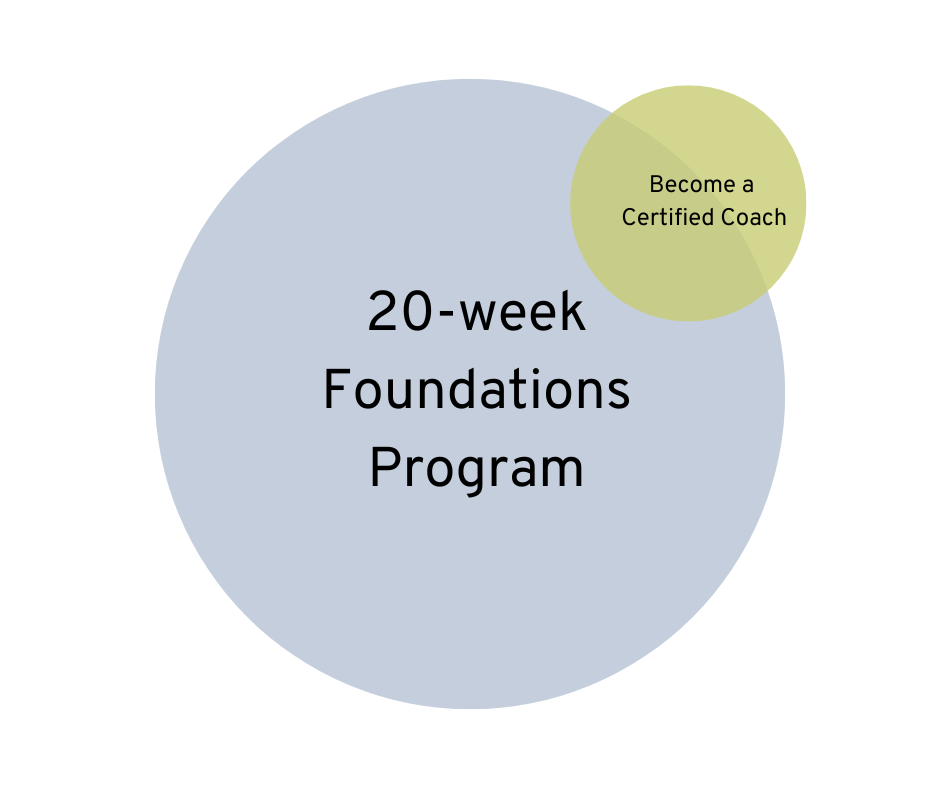 Eudaimonia Coaching Foundations First Cohort Bundle