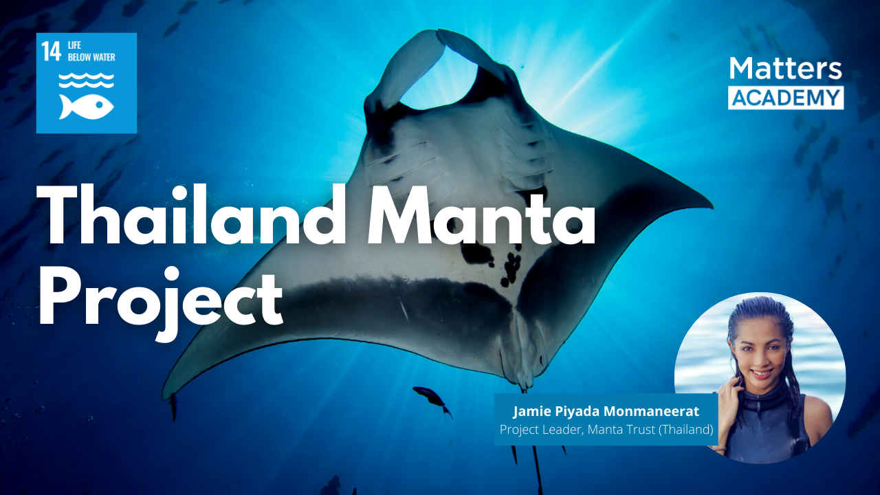 Thailand Manta Project