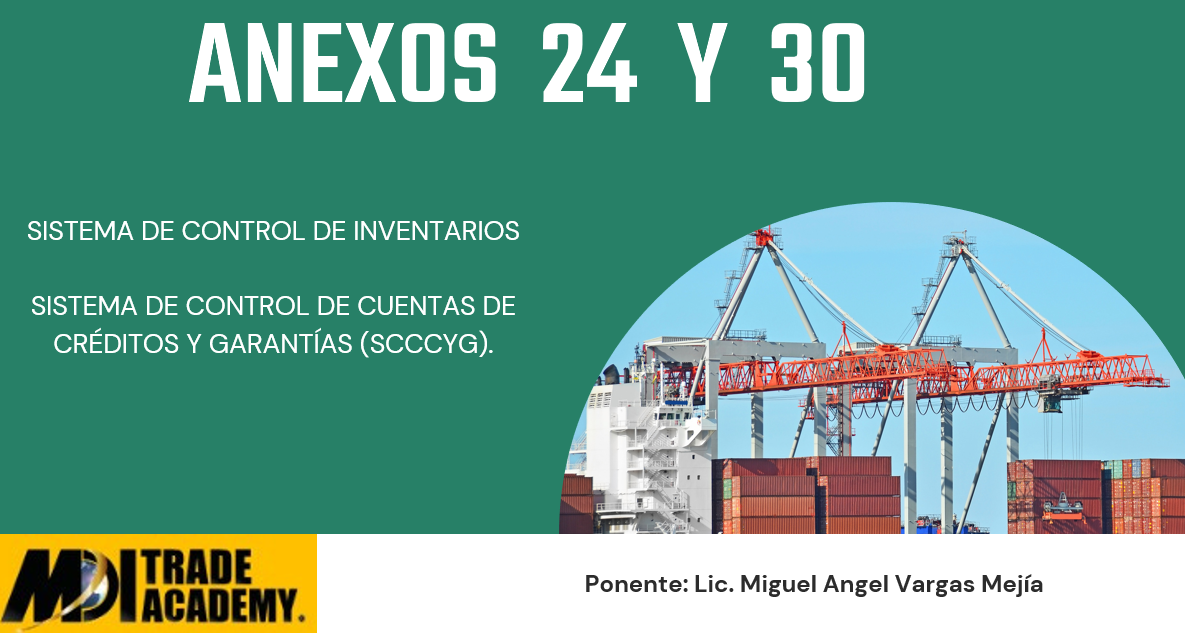 ANEXO 24 Y ANEXO 30 DE LAS RGCE