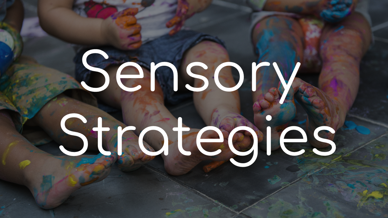 Sensory Strategies Bundle