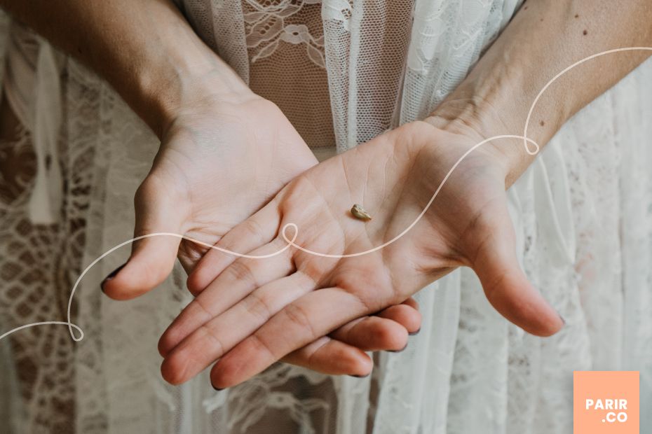 Semana 6 de gestación