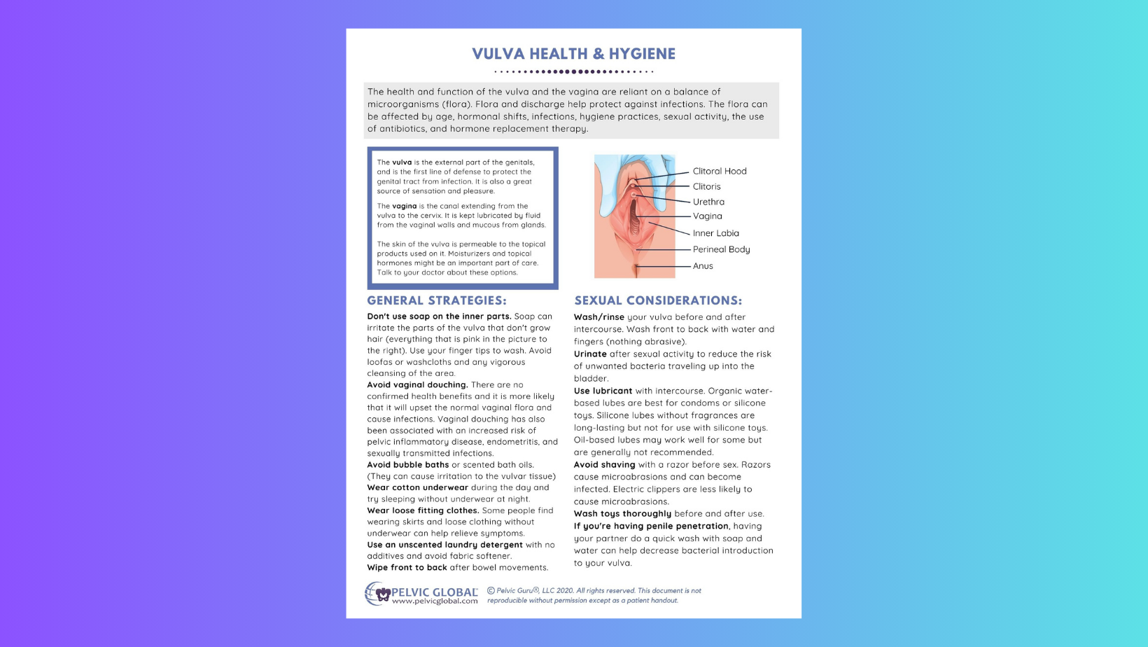 Vulva Health & Hygiene: Handouts (1)
