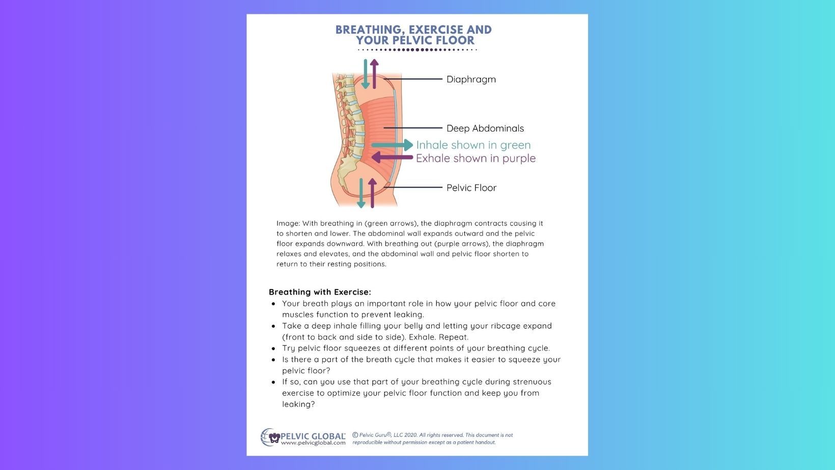 Breathing, Exercise, & Your Pelvic Floor: Handouts (1)