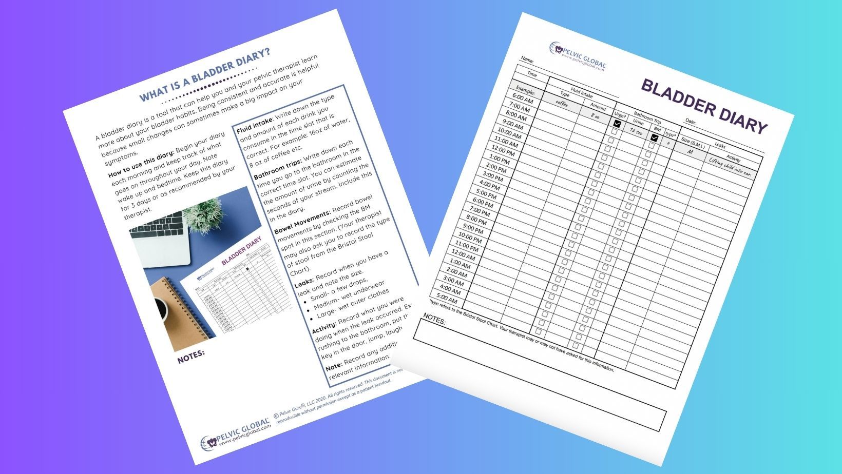 Bladder Diary: Handouts (2)