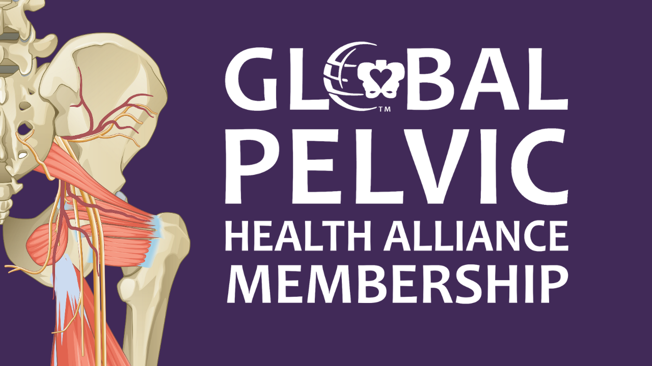 The Ultimate Pelvic Anatomy Resource Pelvic Guru