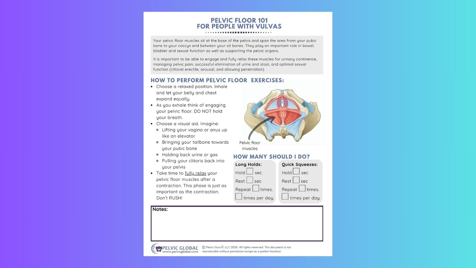 Pelvic Floor 101 - Vulva: Handouts (1)