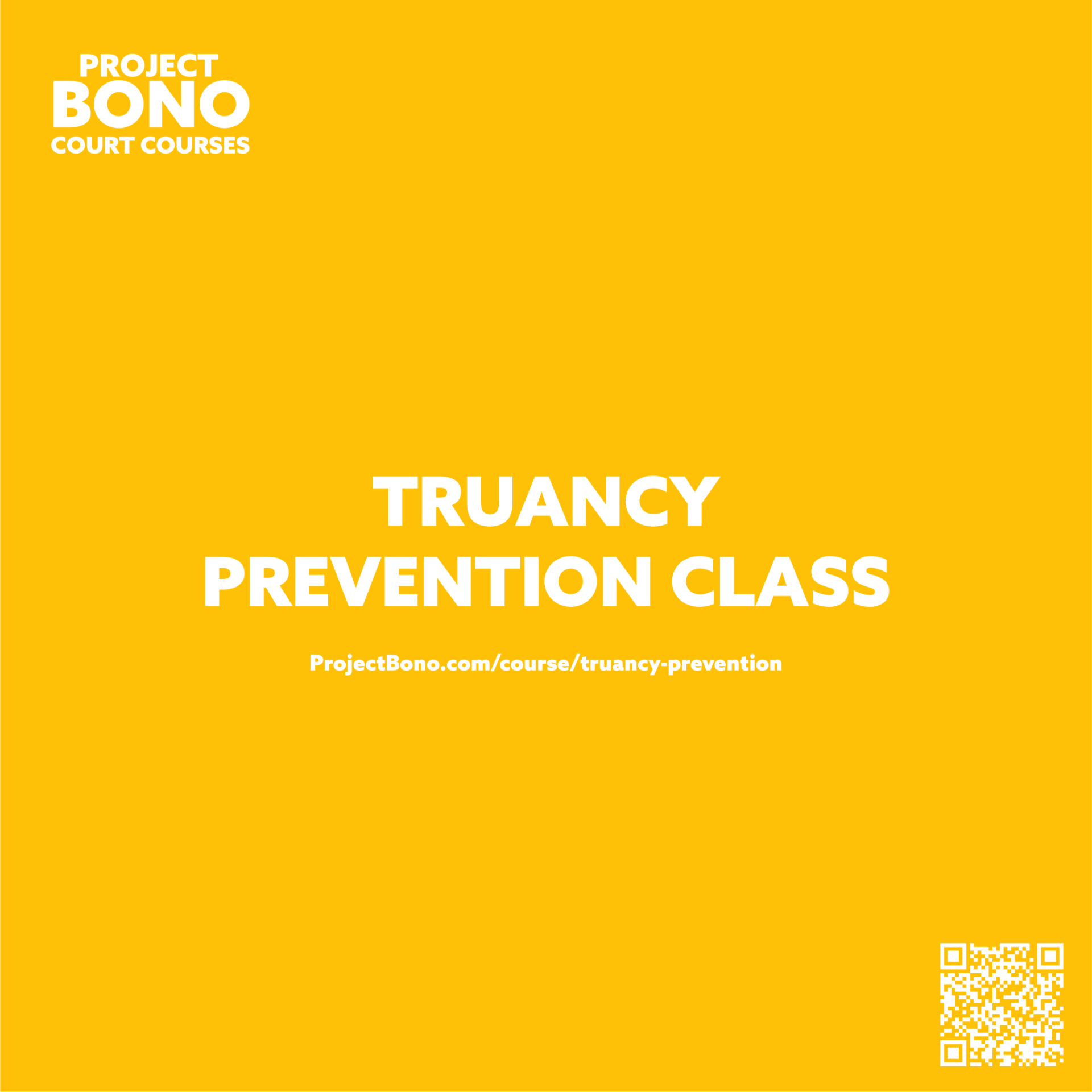 Truancy Prevention Program - Project Bono Court-Ordered Courses