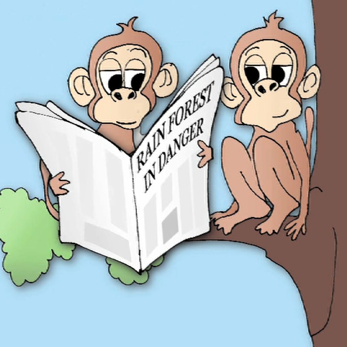 Rainforest Song