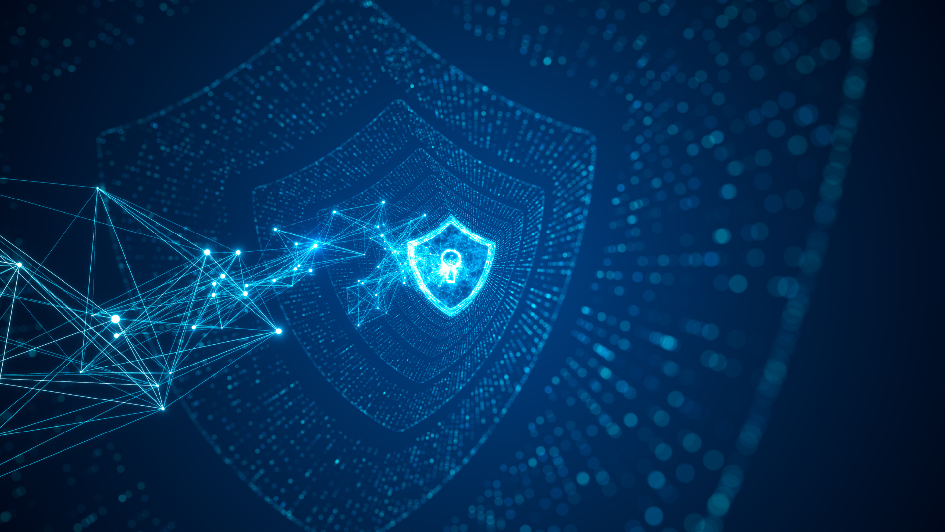 Does Privacy Play a Role in Digital Trust