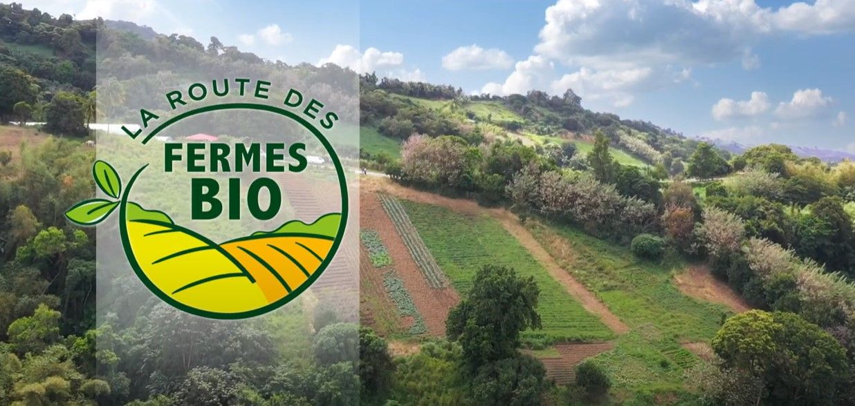 La route des fermes bio 2021